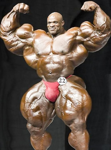 Double Bicep Image 2252495 Thisvid Tube