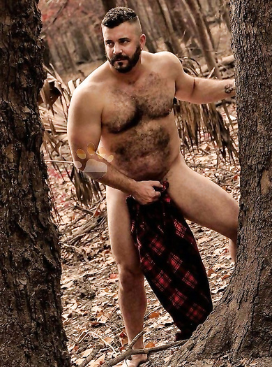 Bears Album 3 Image 3050885 Thisvid Tube