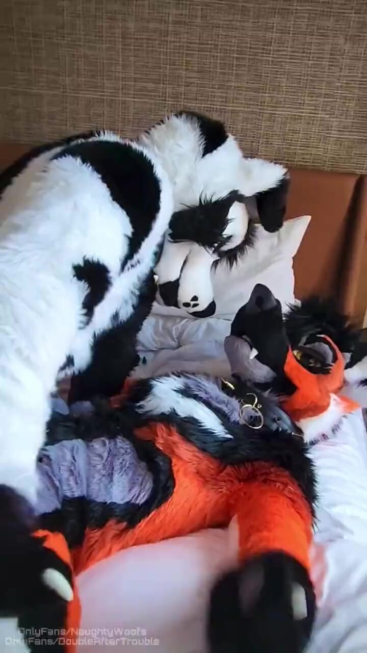 Missionary Fursuit Em Inglês