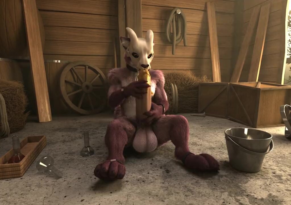 Fun In The Barn