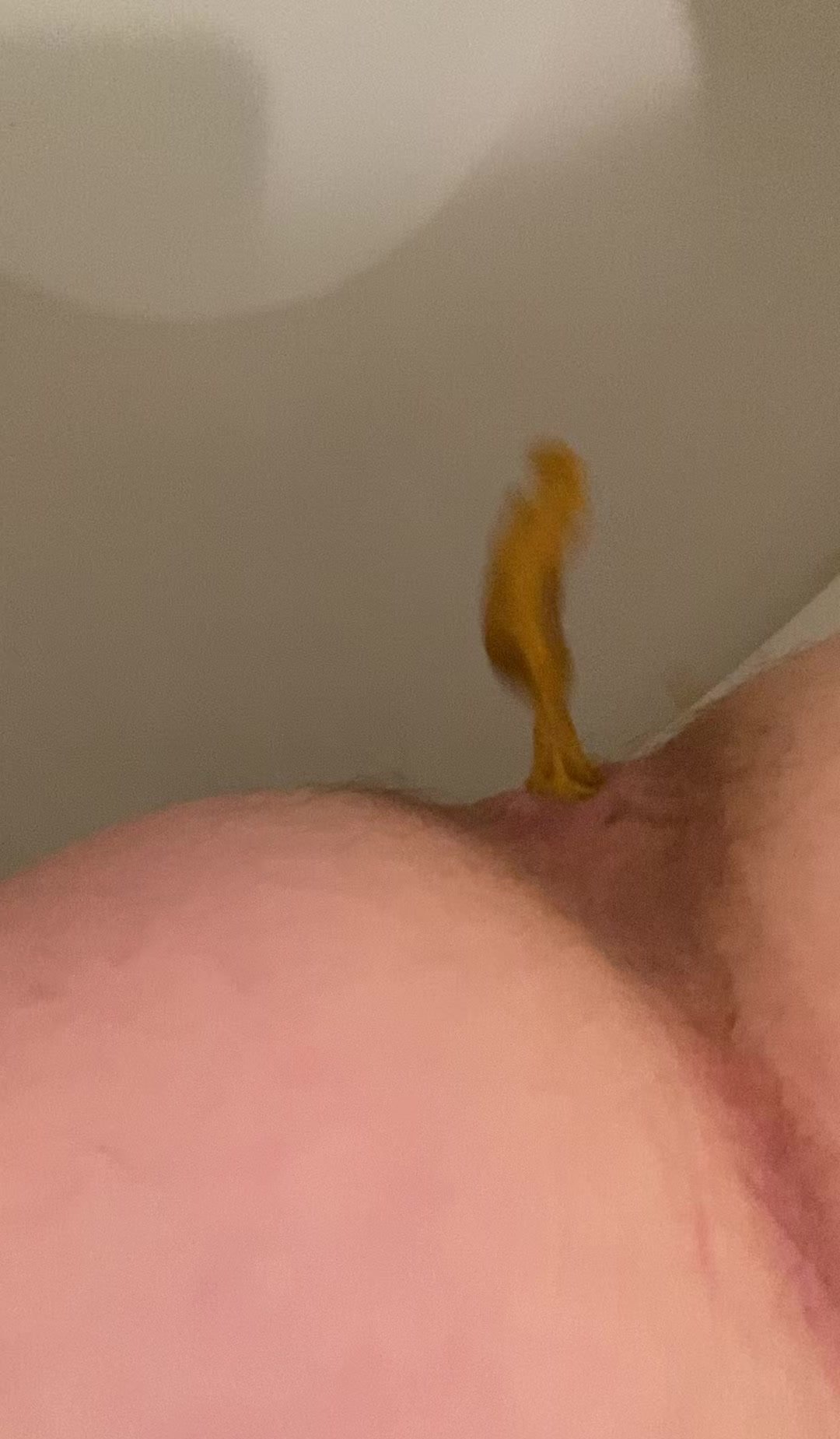 Milf Sloppy Poo 日本語で