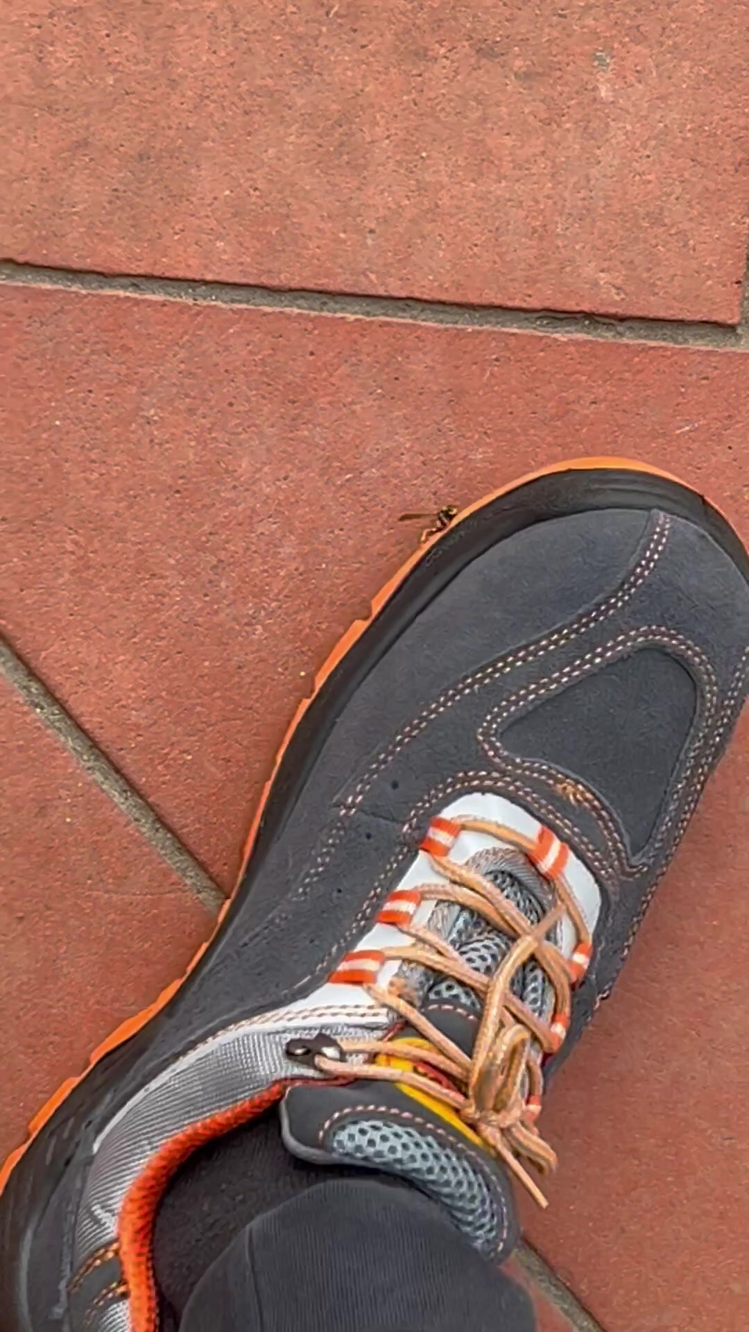Workboots Stomp Wasp