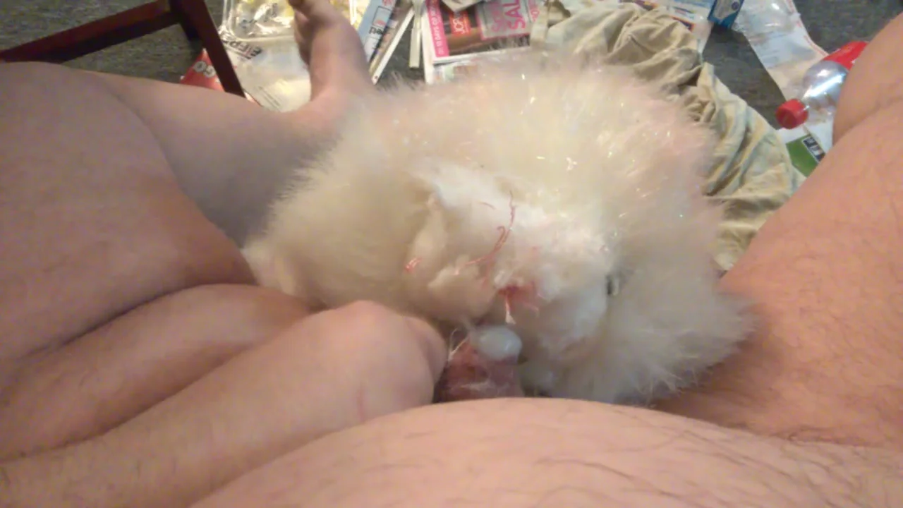 Plush Cum