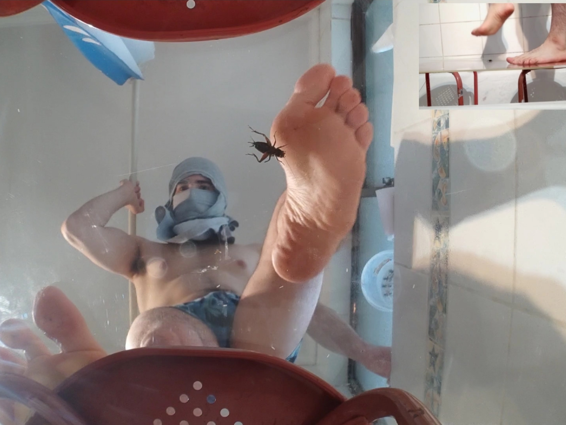 Male Feet Bug Crushing Videos