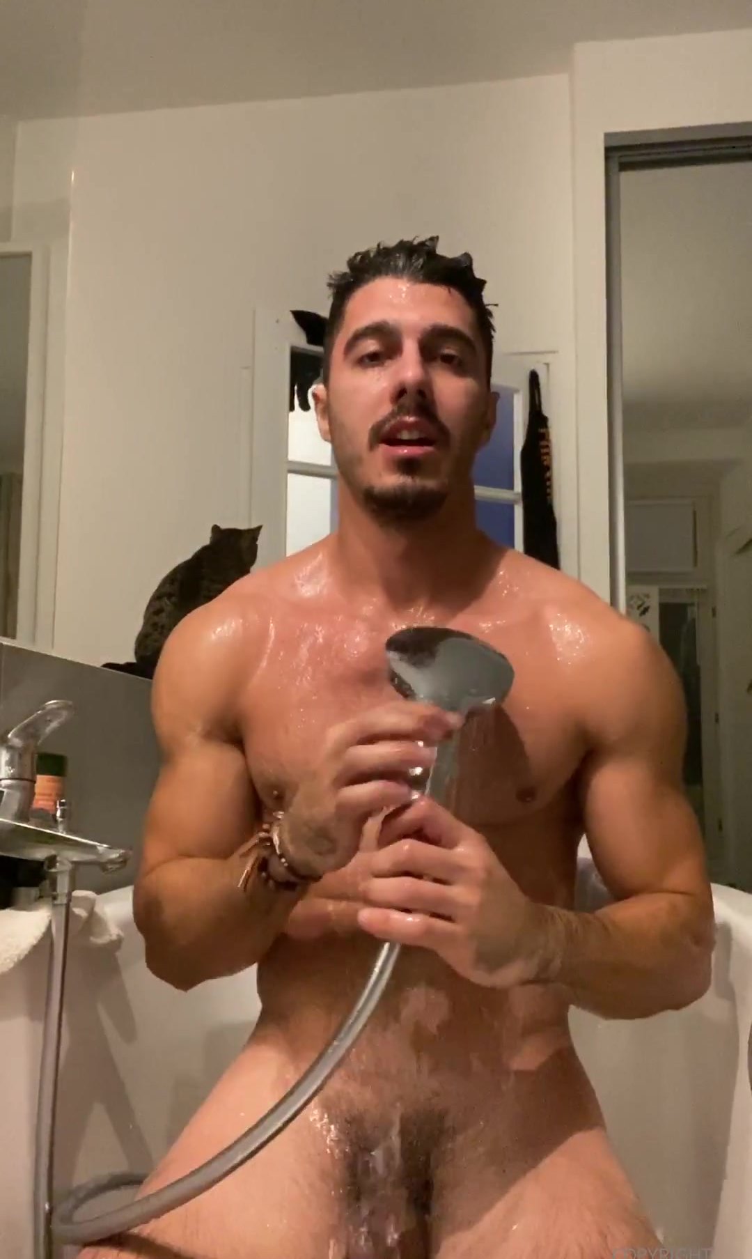 The Cat Man
