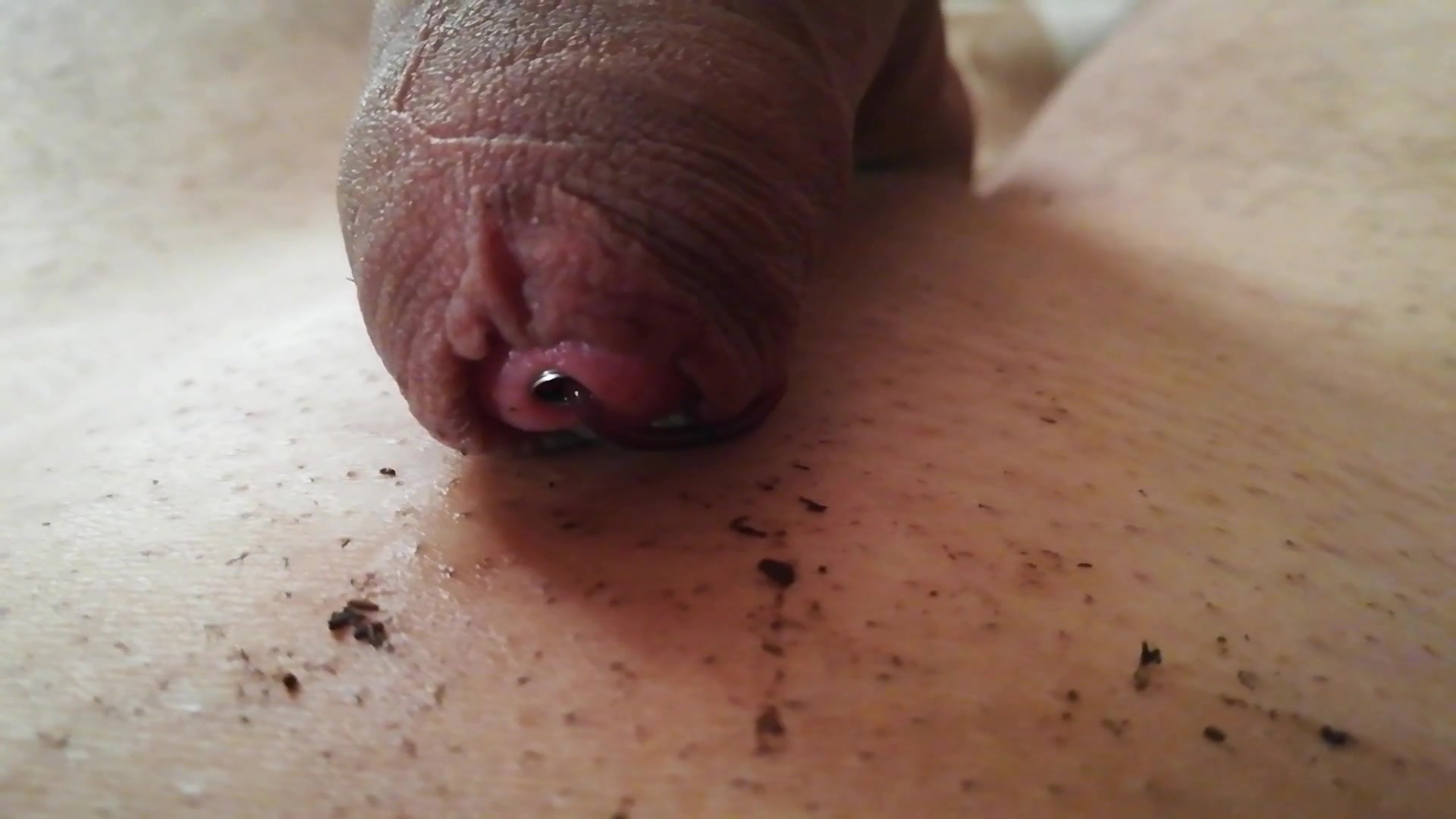 Worms In Cock Video 12