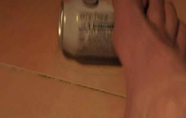 Ant Crushed By Cans