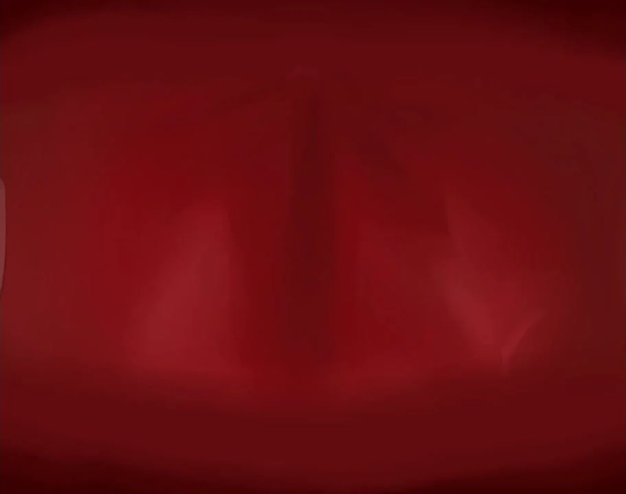 Vores Vore Belly Digestion
