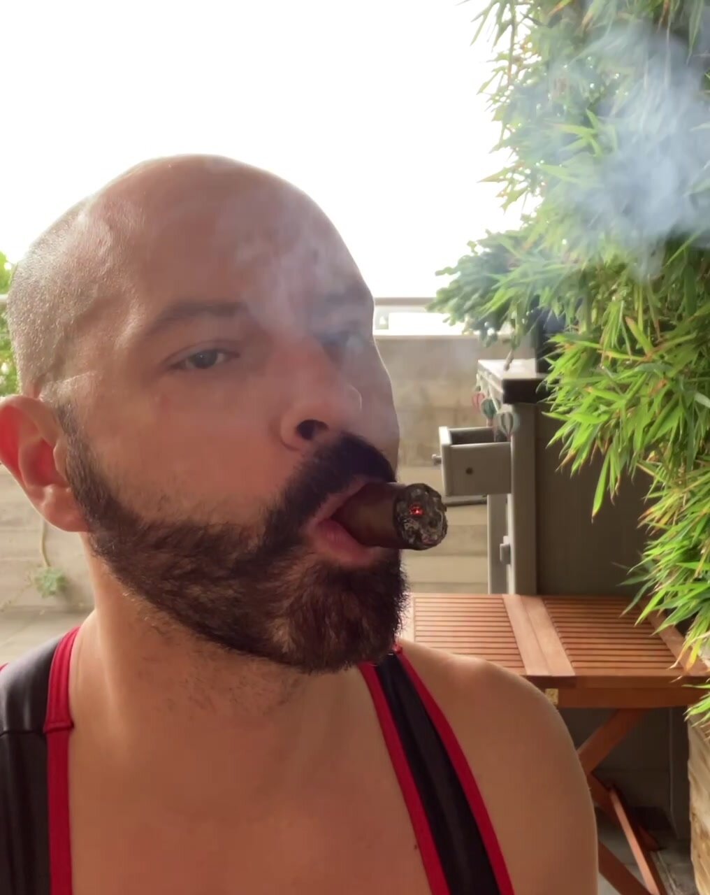 Single Cigar
