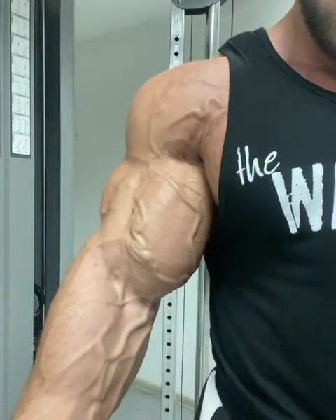 Big Veiny Biceps