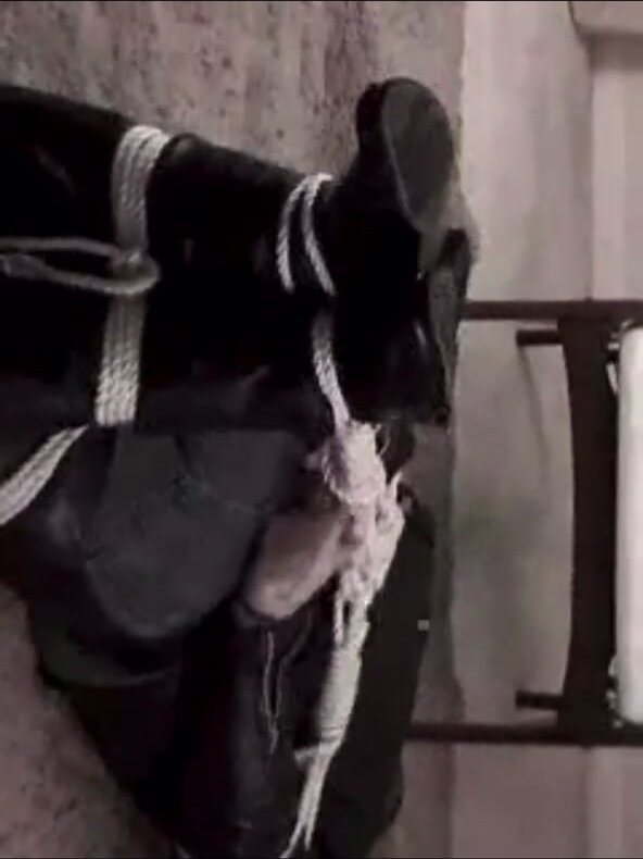 Biker Bound And Gagged Video 2