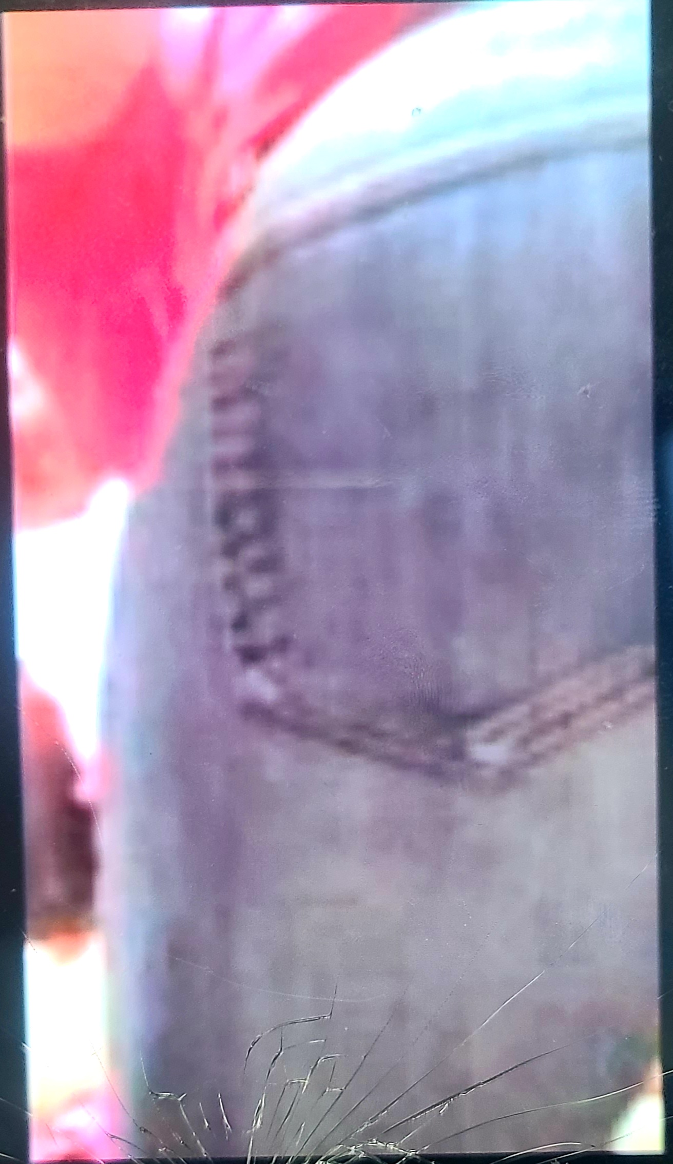 Buddy Farting