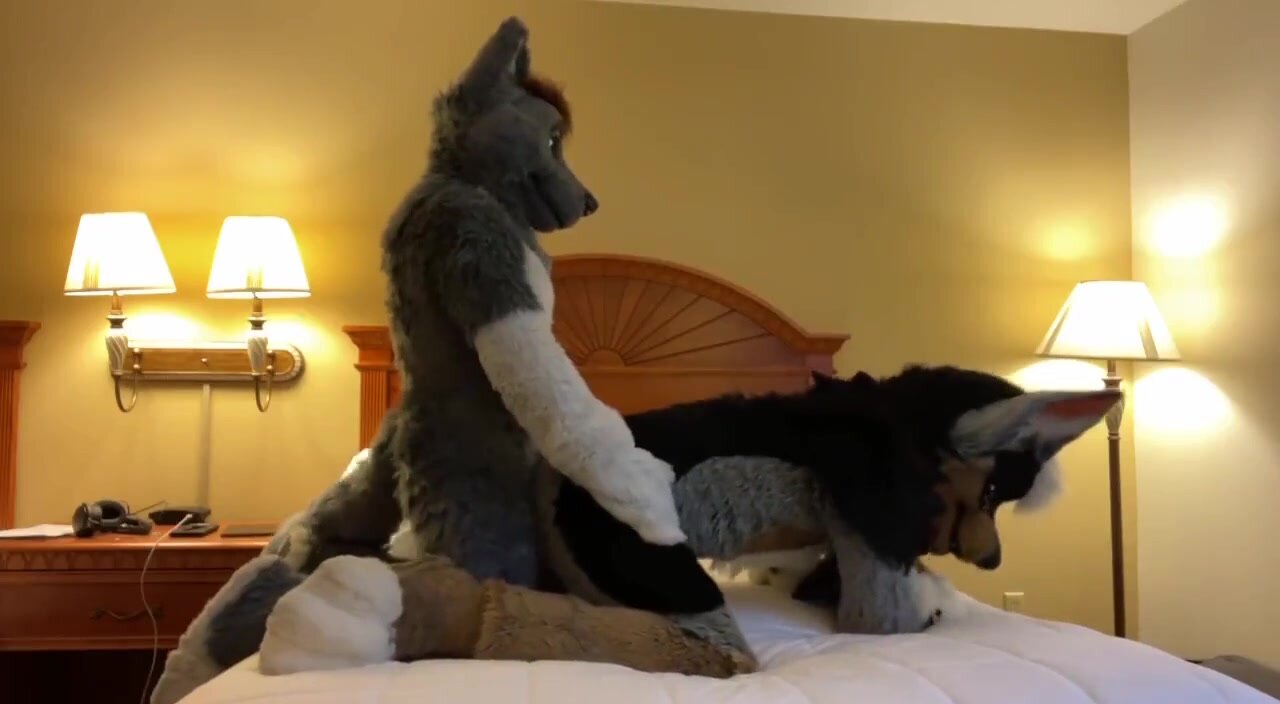 Fursuit Sex Video 58