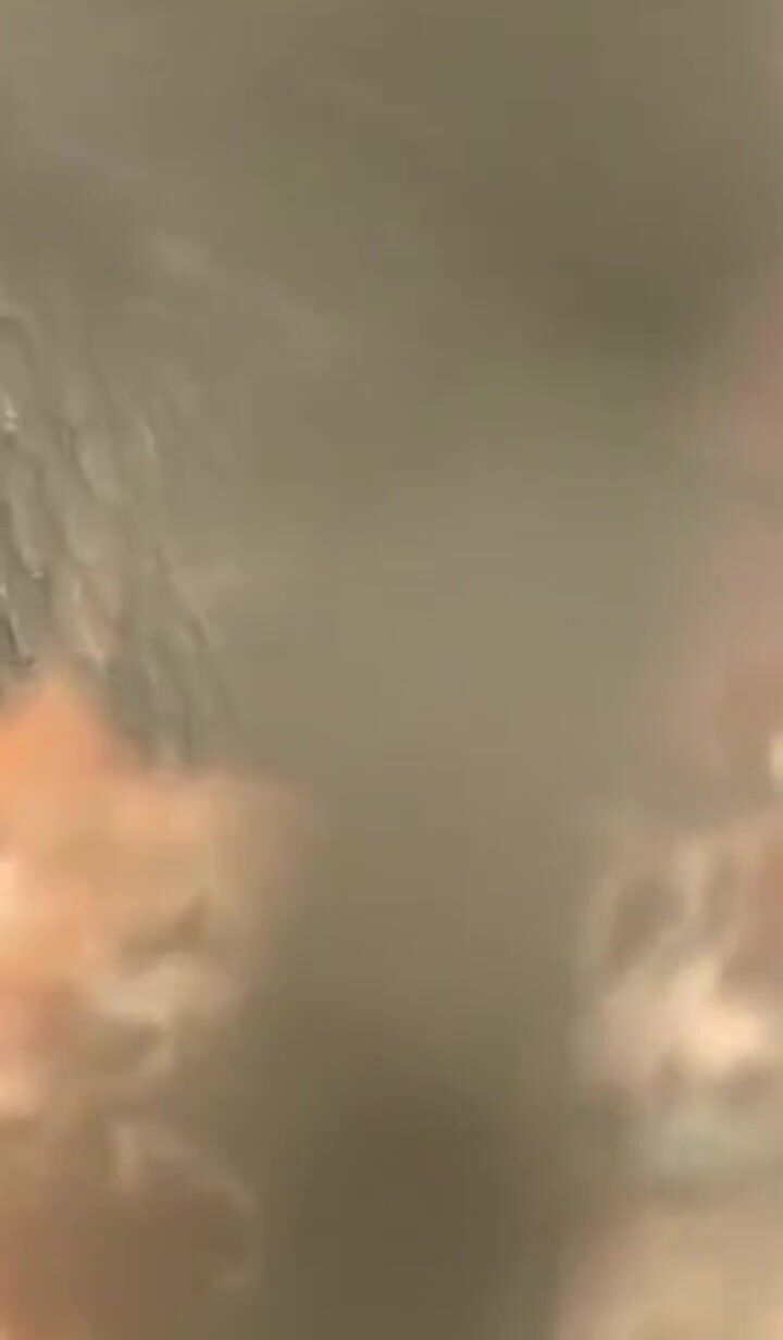 Couple Caught Fucking In Woods
