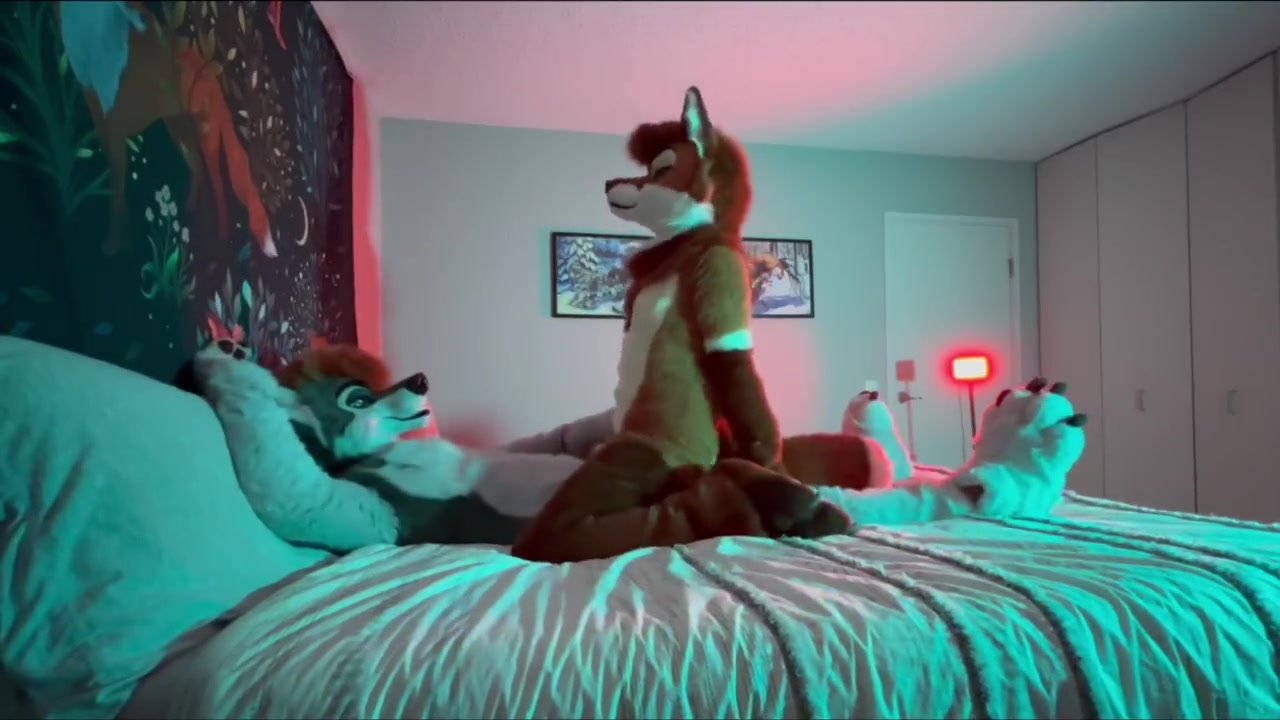 Fursuit Sex Video 87