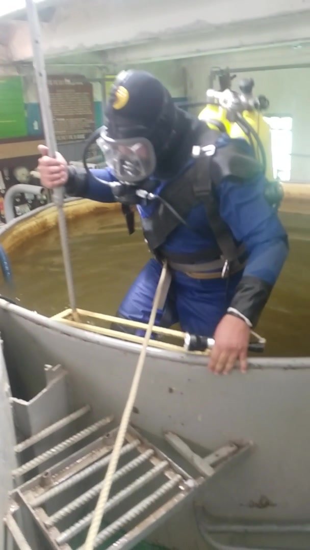Drysuit Diver