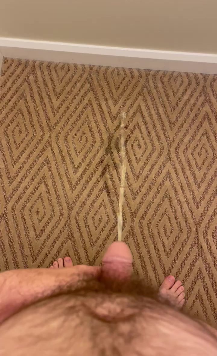 Hotel Closet Pissing