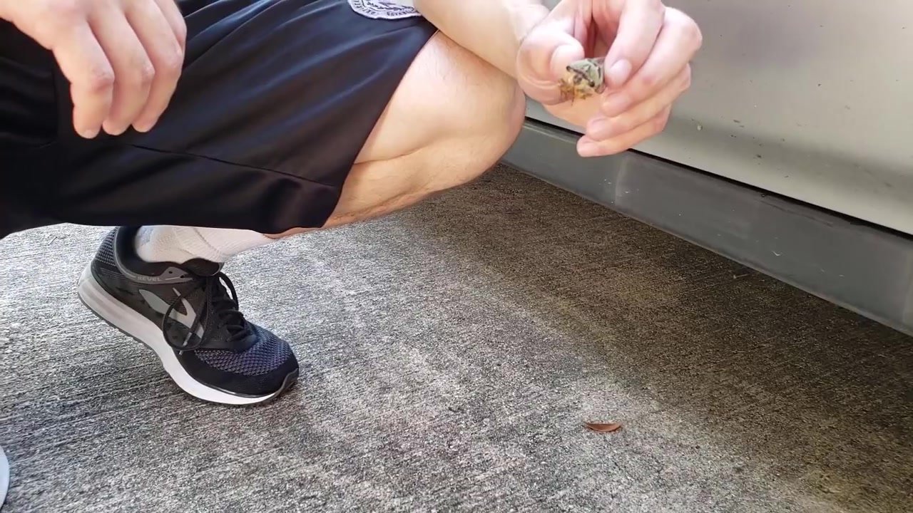 2 Dudes Doing A Bug Crush Challenge