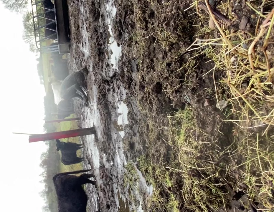Slurry Heaven