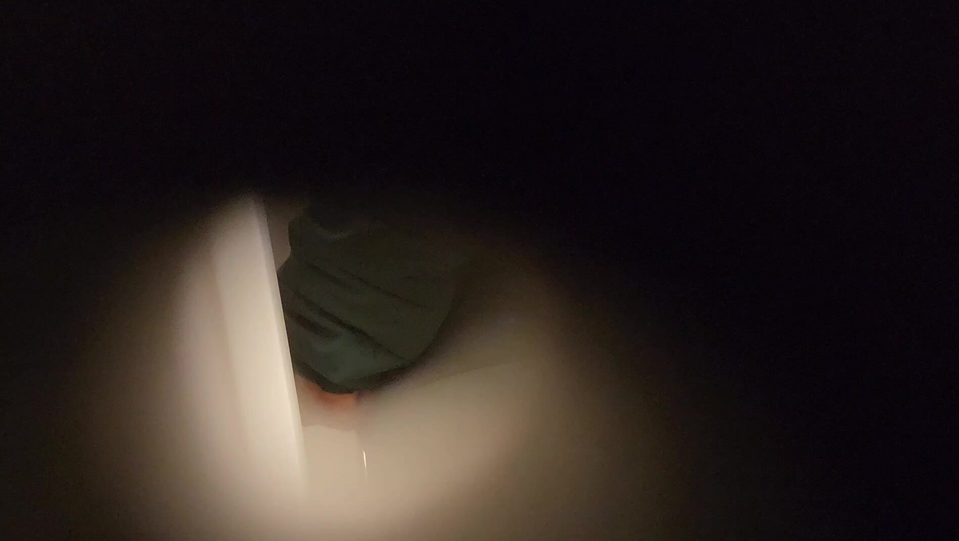 Stall Spy Wall Fly