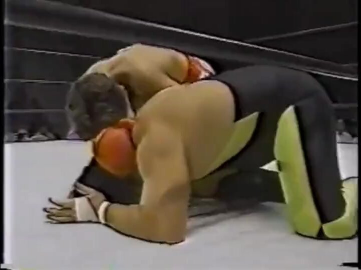 Boxer Vs Wrestler 2