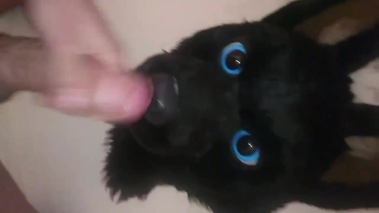 Fursuit Head Cum