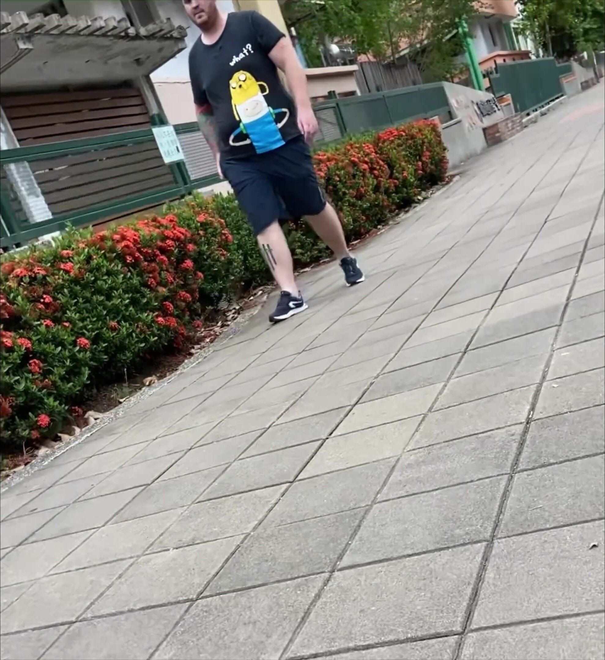 Public Walking Bear
