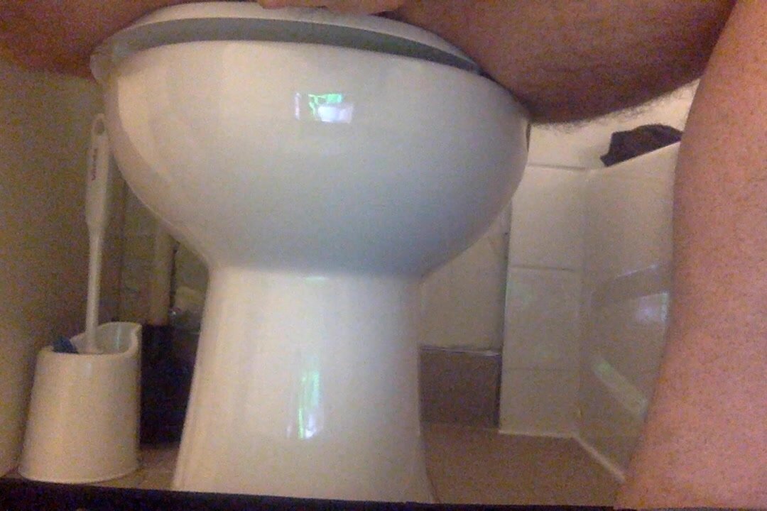 Nice Toilet Fart