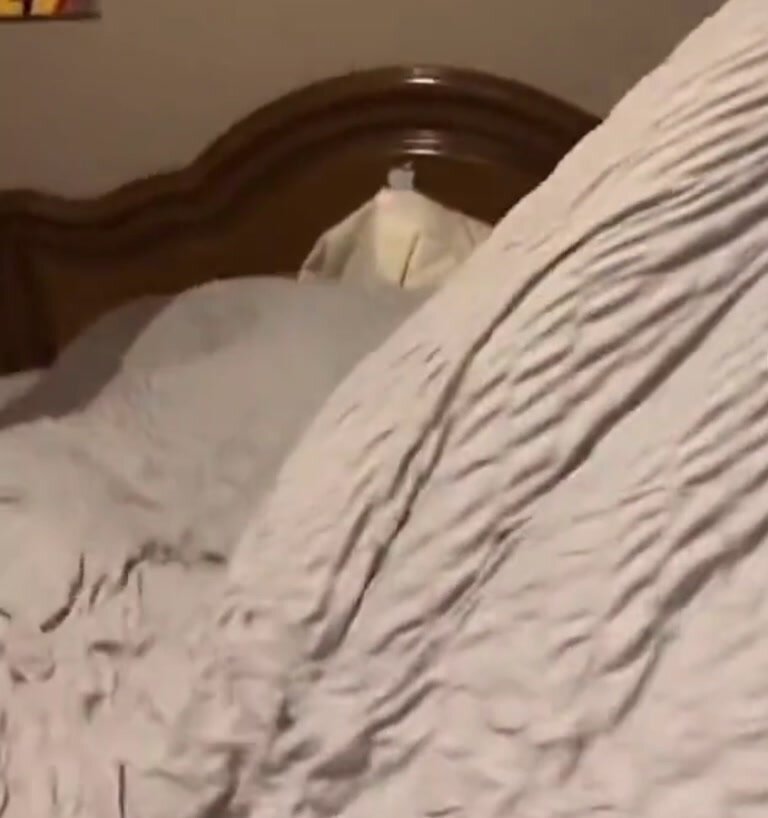 Dutch Oven Farts