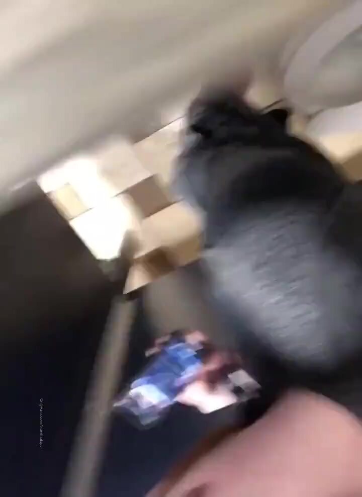 Guy Jerking Off In The Stall Next To Me