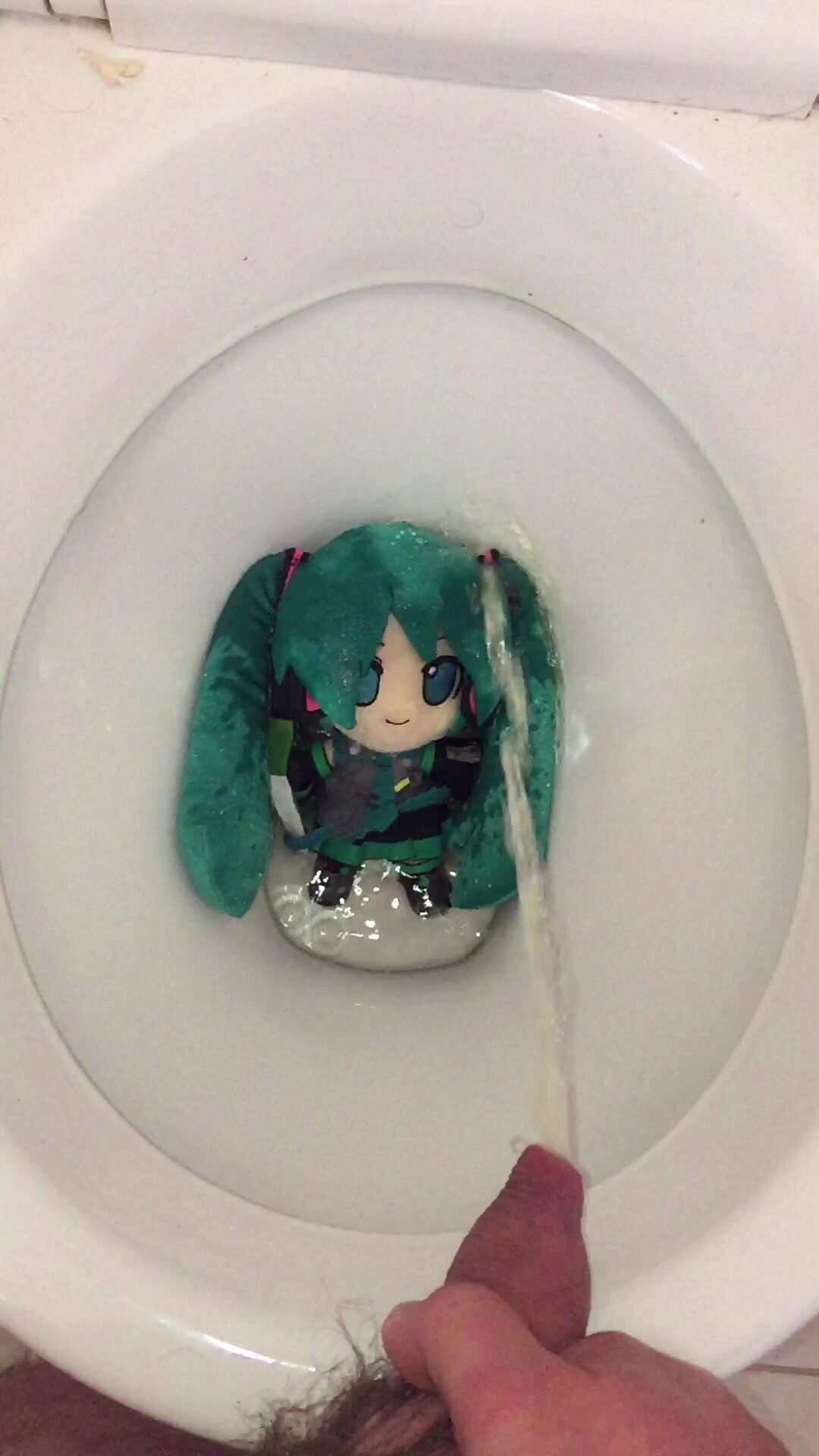 Small Hatsune Miku Plush Pof
