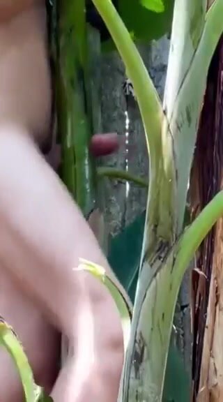 Fucking A Tree Banana