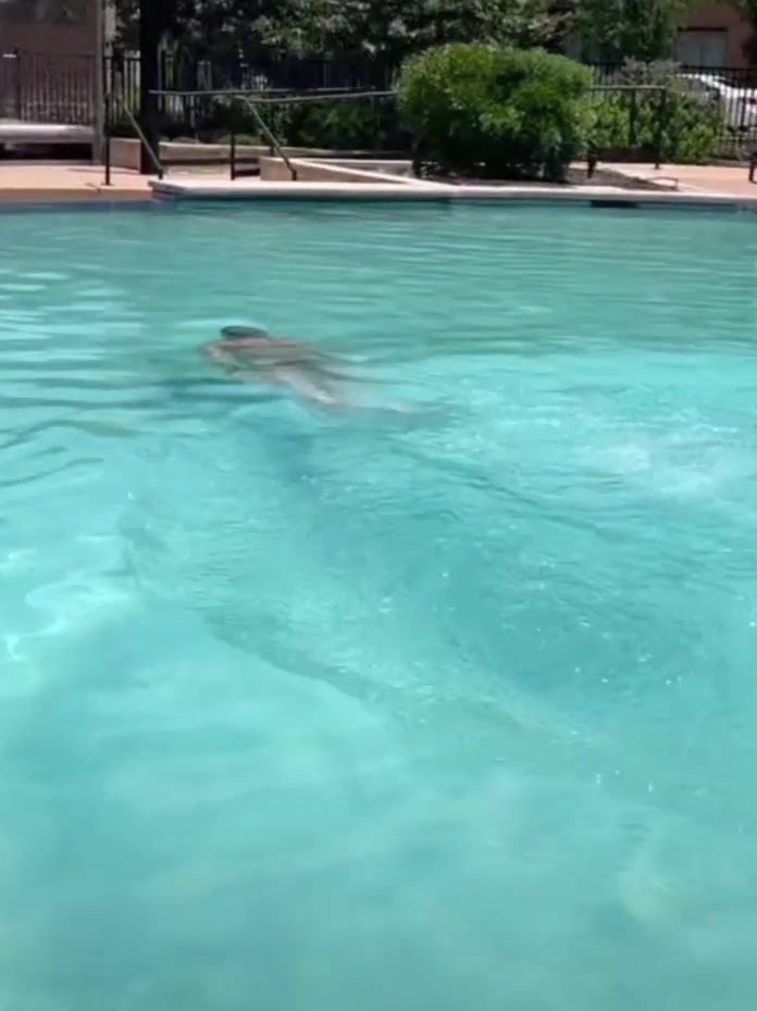 Single Leg Swiming