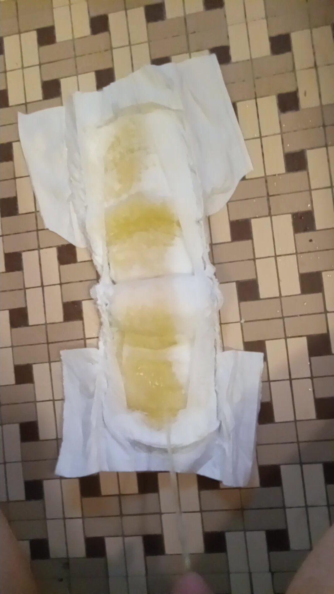 Open Pee In A Meijer Brand Lxl Goodnite